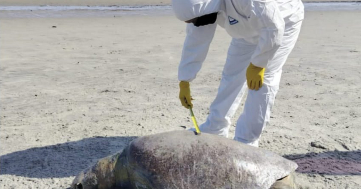 MiAmbiente Urges Citizen Reporting