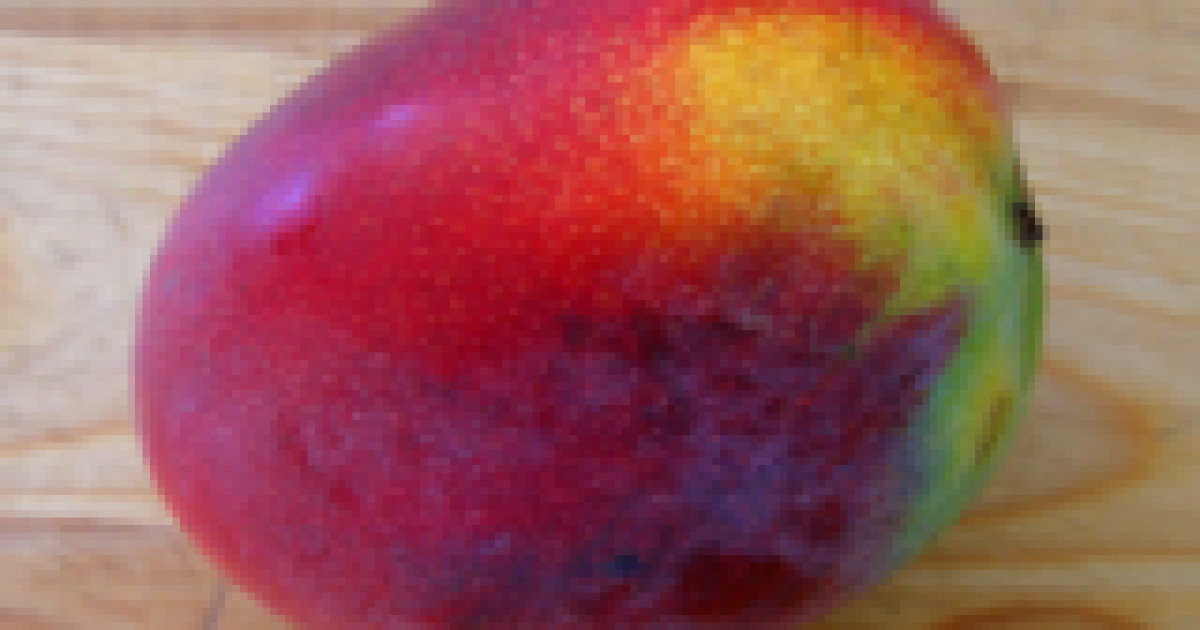 Allergic Reaction from Mangos